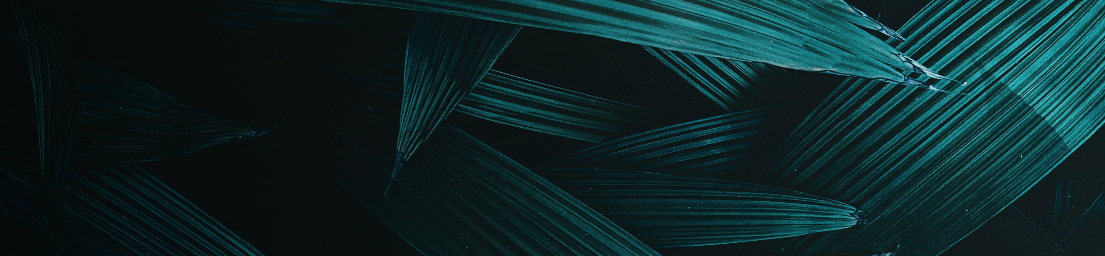 L’ISR, tout naturellement - APICIL Asset Management